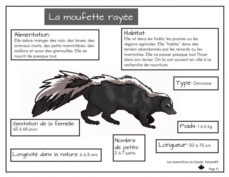 Les mammifères du Canada #2 - (2e/3e) — Fiches reproductibles pour ...