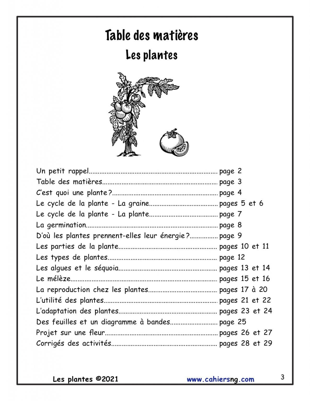 Les plantes (3e) - Nouvelle série ! - NOUVEAUTÉ !! — Fiches ...