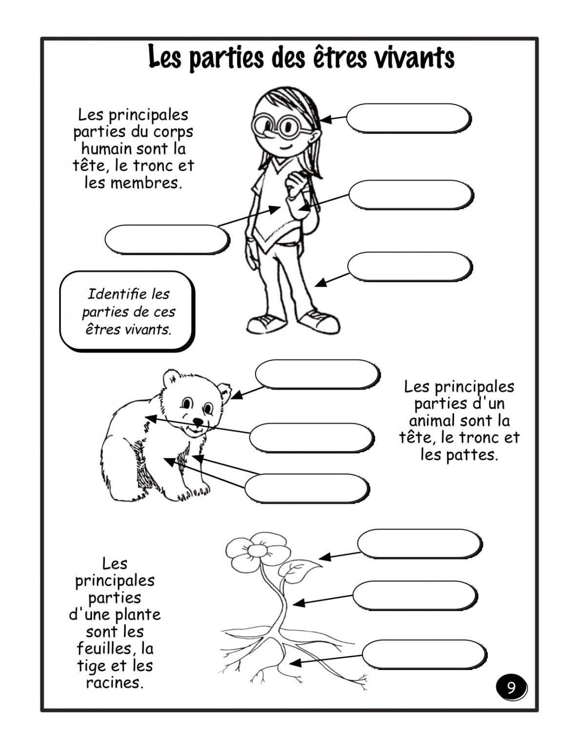 Les êtres vivants — Fiches reproductibles pour enseignant(e)s — Cahiers ...