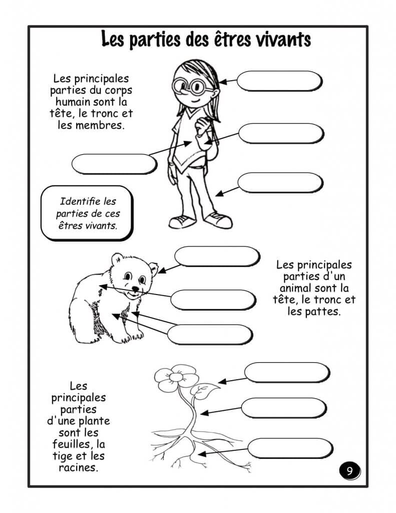 Les êtres vivants - Hybride (1re/2e) - Les différentes parties — Fiches ...