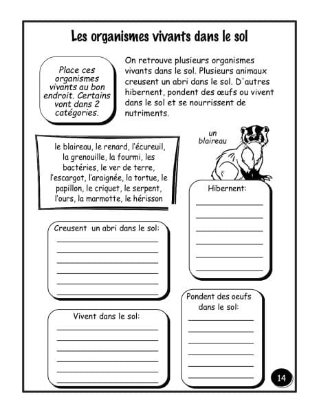 3e année - Le sol - "HYBRIDE" — Fiches reproductibles pour enseignant(e ...