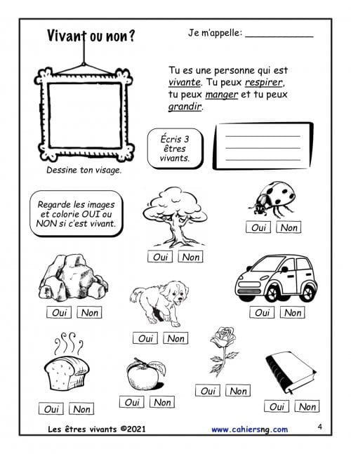 Les êtres vivants (1re) - Nouvelle série ! — Fiches reproductibles pour ...