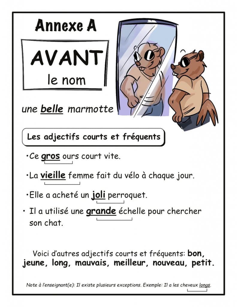 C'est quoi un adjectif ? (5e/6e) - Les adjectifs avant le nom — Fiches ...
