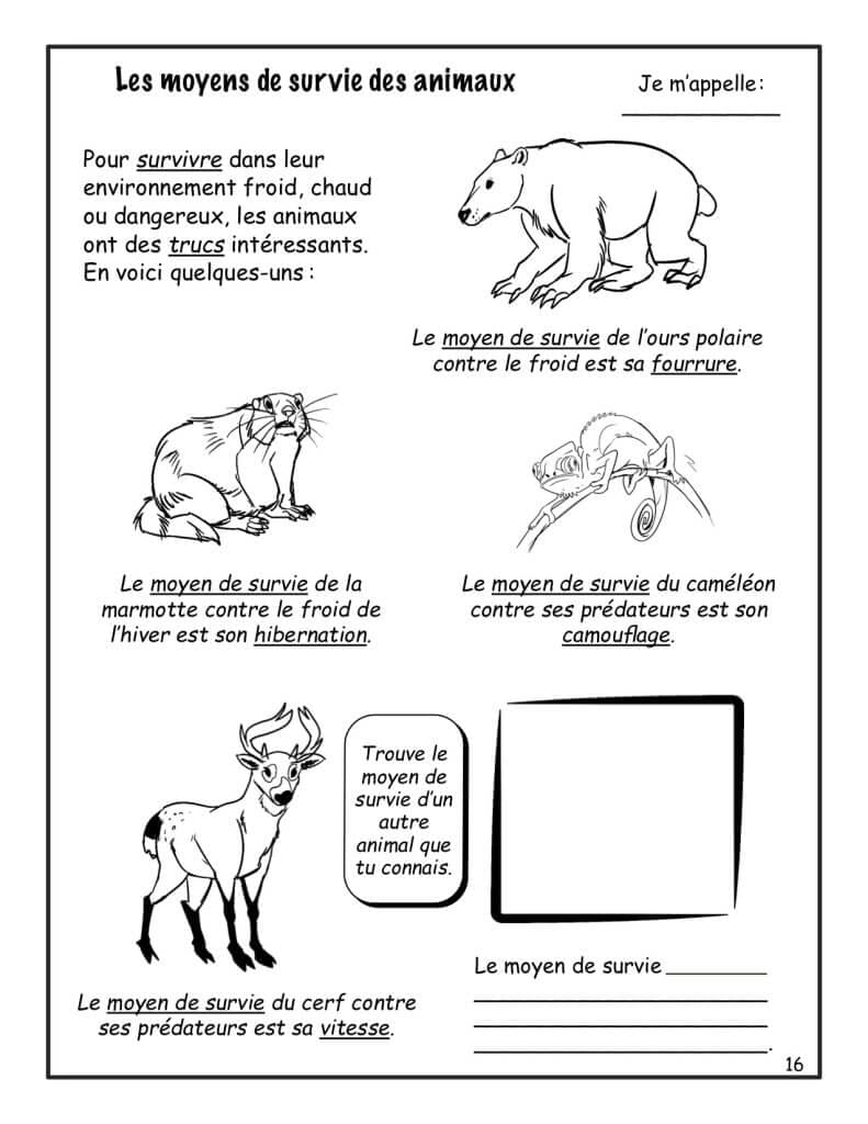 Les animaux (2e) - Nouvelle série ! — Fiches reproductibles pour ...