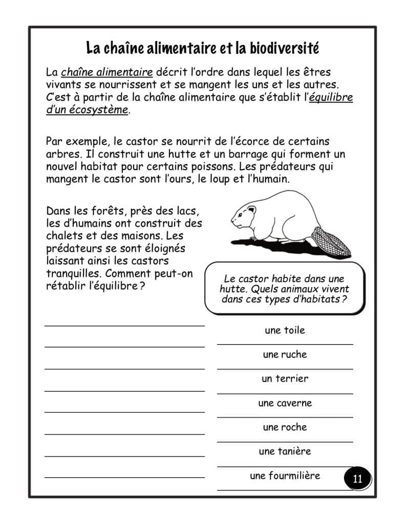 6e année - La biodiversité - "HYBRIDE" — Fiches reproductibles pour ...