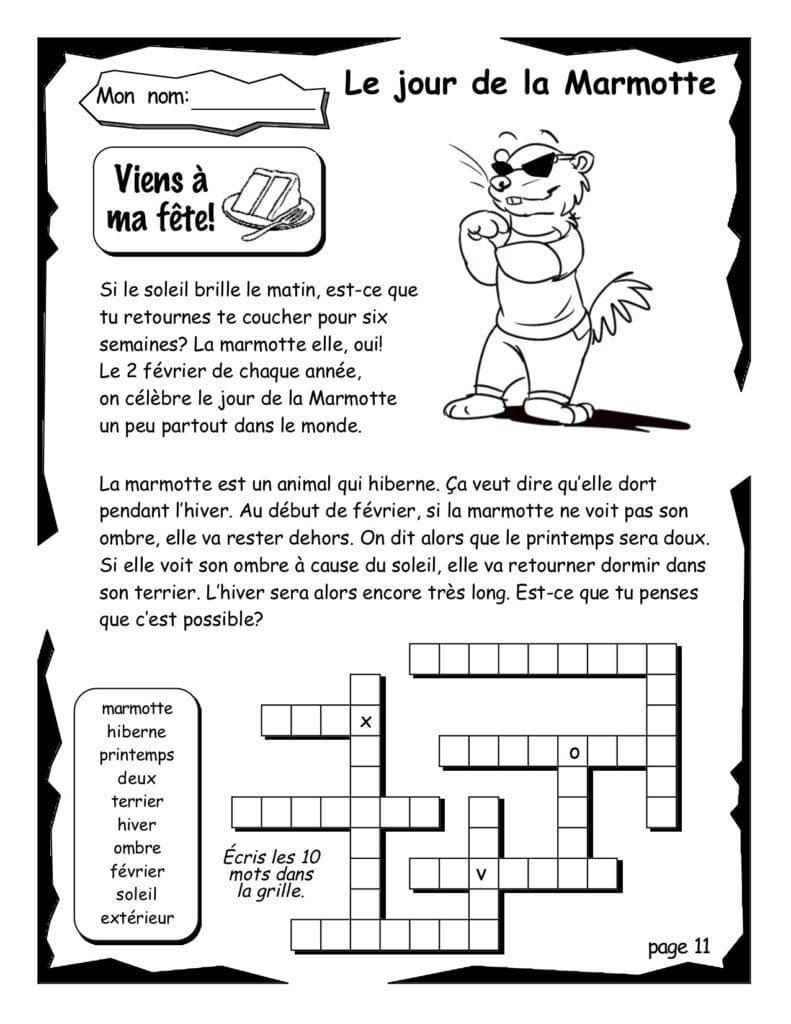 Fiches reproductibles pour enseignant(e)s — Cahiers d'activités N.G.