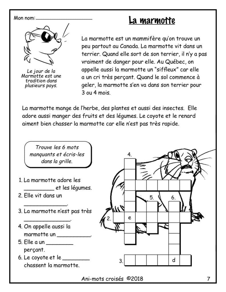 Fiches reproductibles pour enseignant(e)s — Cahiers d'activités N.G.