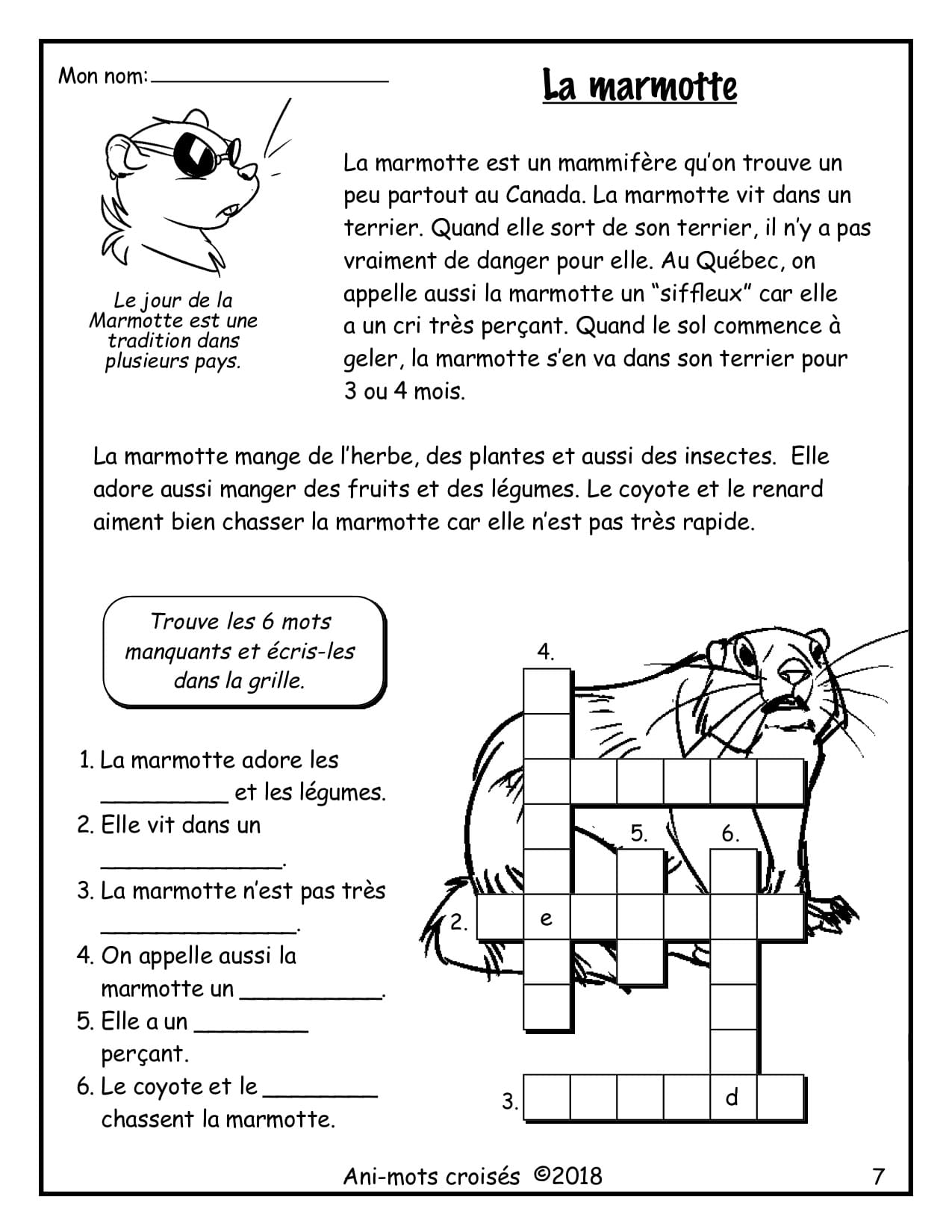 Fiches reproductibles pour enseignant(e)s — Cahiers d'activités N.G.