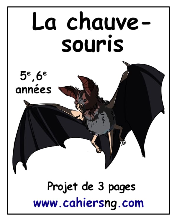 La chauve-souris (5e/6e) - PDF — Fiches reproductibles pour enseignant ...