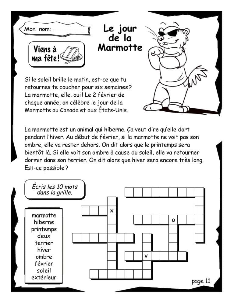 Fiches reproductibles pour enseignant(e)s — Cahiers d'activités N.G.