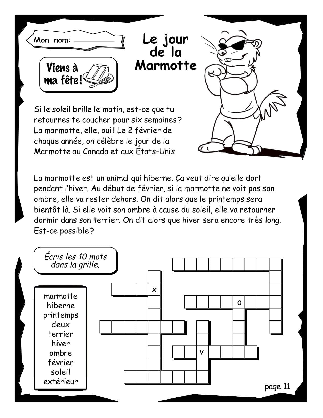 Fiches reproductibles pour enseignant(e)s — Cahiers d'activités N.G.