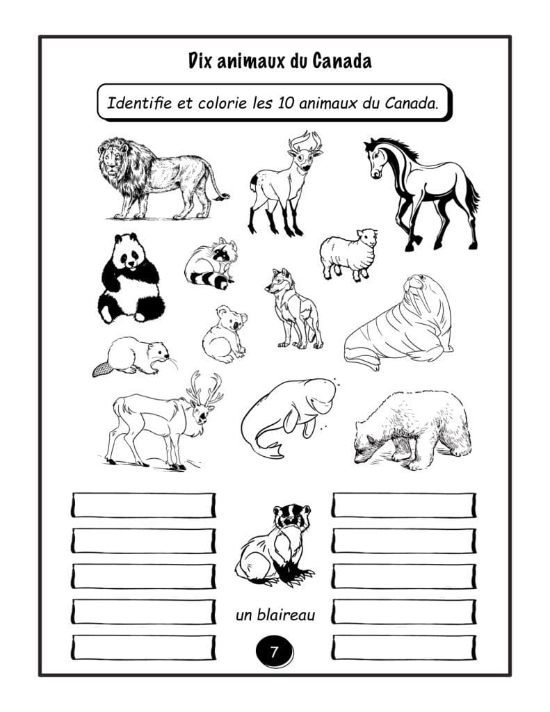 PDF - Les animaux du Canada (4e/5e) - HYBRIDE — Fiches reproductibles ...