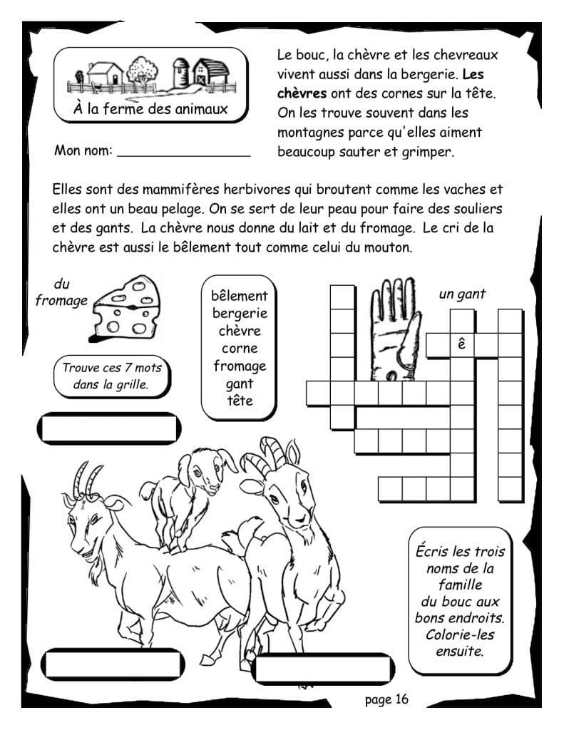 À la ferme des animaux (2e/3e) - La chèvre et le bouc — Fiches ...