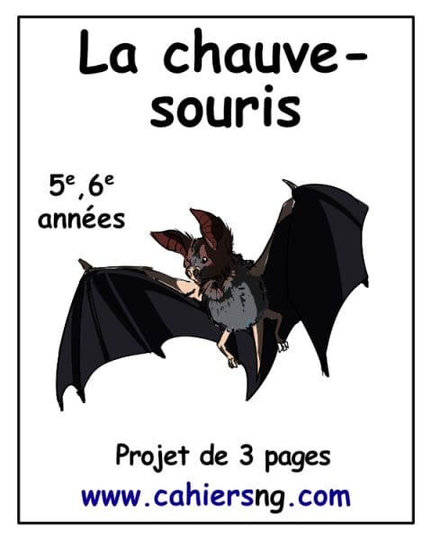 La chauve-souris (5e/6e) - PDF — Fiches reproductibles pour enseignant ...